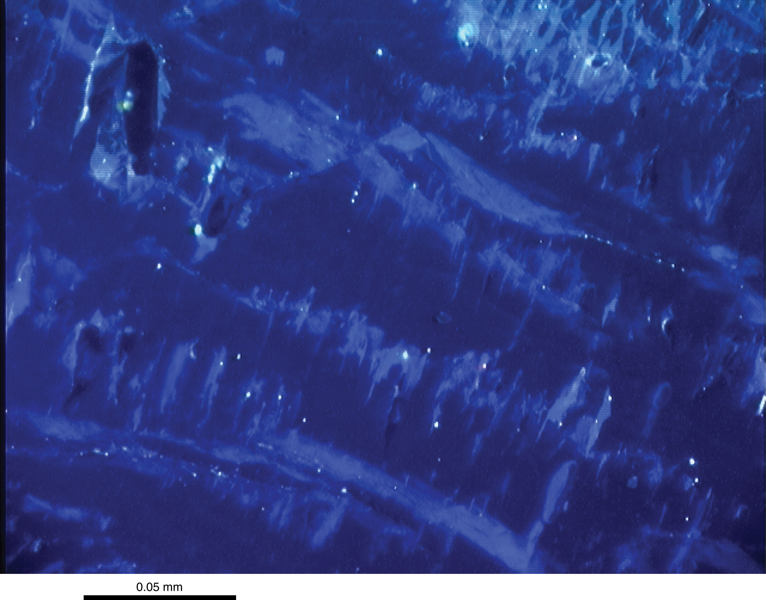 BSSA, Vol. 99:4, Electronic Supplement to Panno et al.