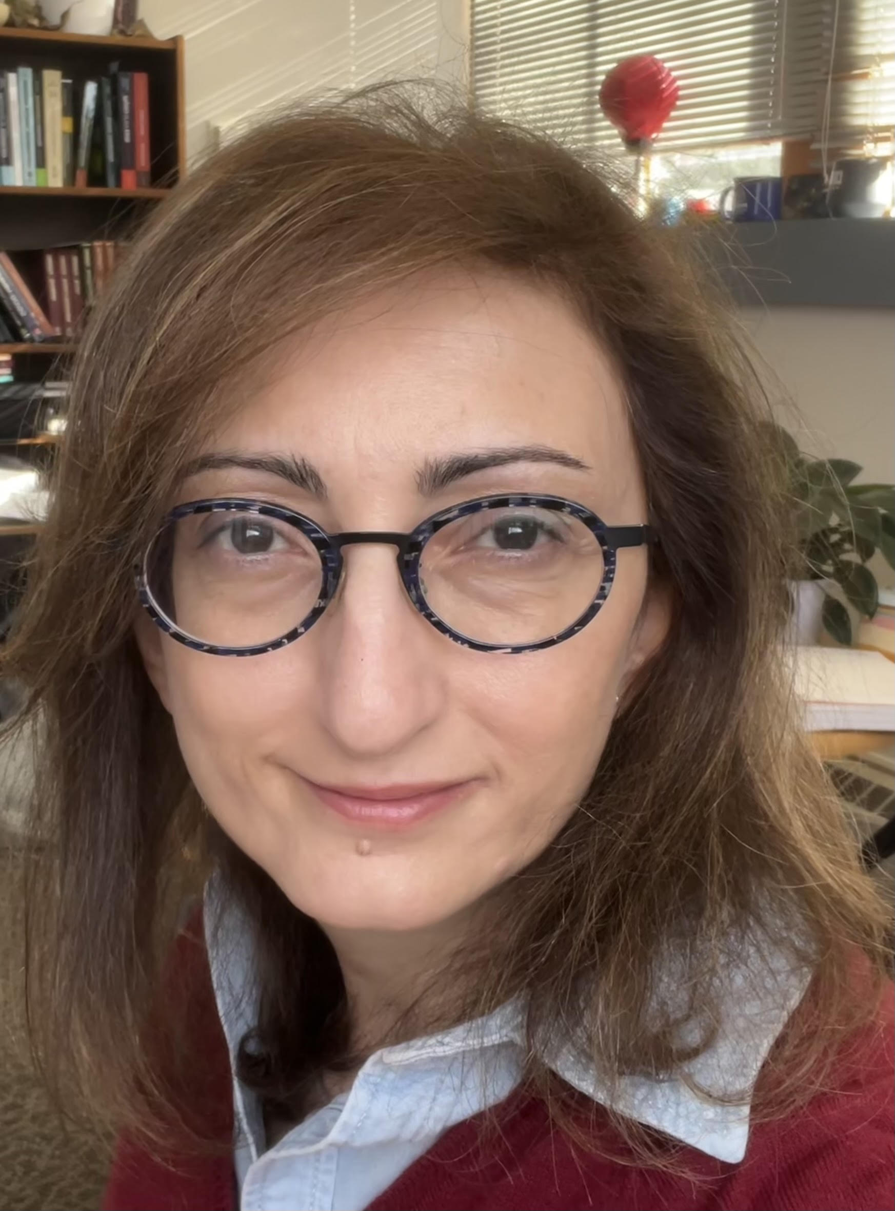 The Seismic Record Editorial Board | Seismological Society of America